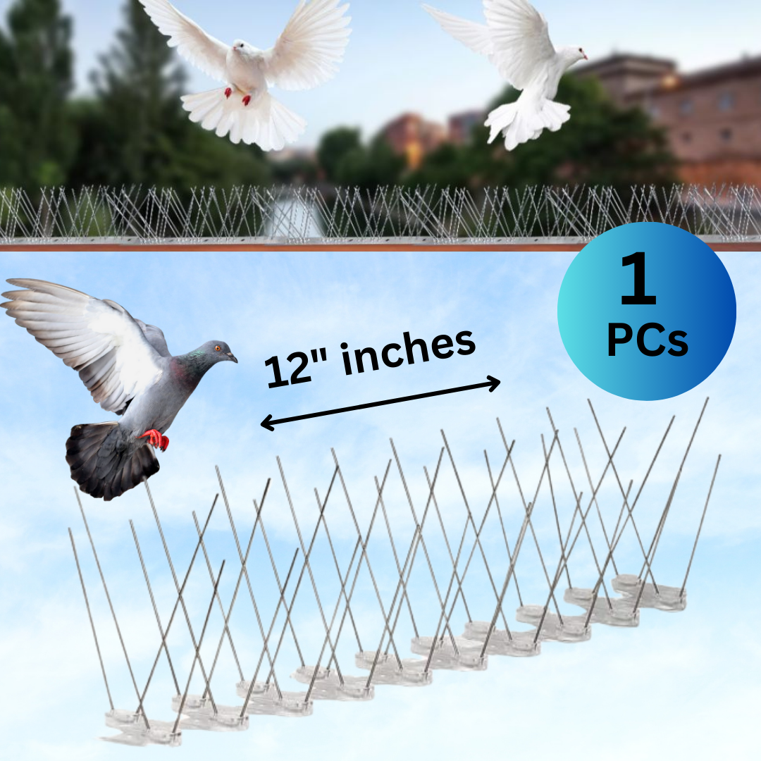 Anti Bird Spikes – Pigeon Spikes 12 Inches Strip | Daraz.pk