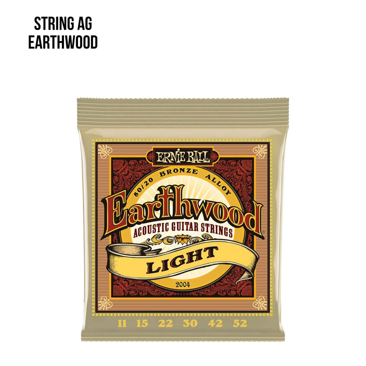 ACOUSTIC GUITAR STRING PACK ERNIE BALL EARTHWOOD 80/20 | Daraz.pk