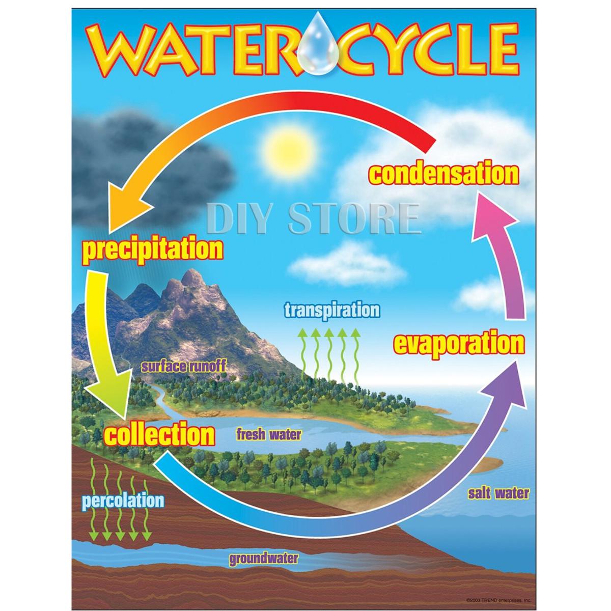 WATER CYCLE Poster Panaflex Banners Home School Decoration 2x3 feet ...