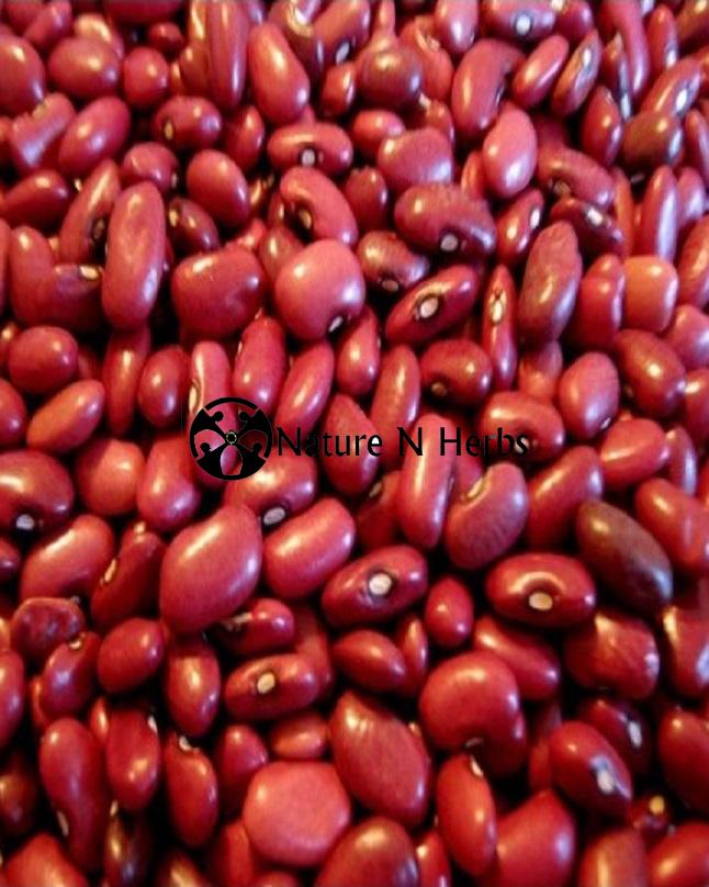 Red Kidney Beans (laal Lobiya) - 500 Gm Price in Pakistan - View Latest ...