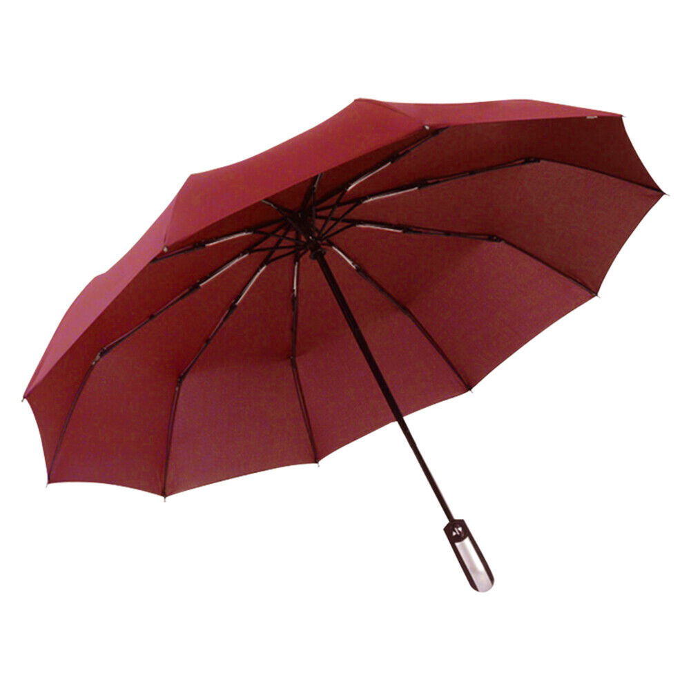 Auto Open and Close Folding Umbrella 10 Ribs Windproof Umbrellas for ...
