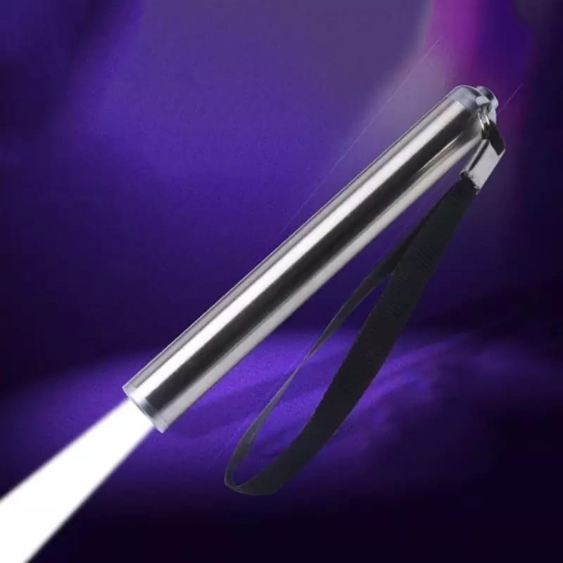 Stainless Steel Metal Mini Eggs Tester Candling Torch - Silver | Daraz.pk