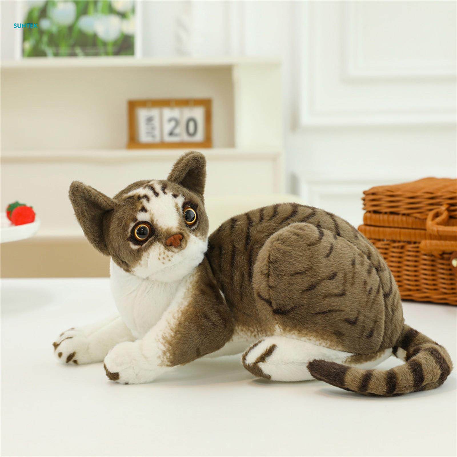 Cute Cat Doll Pet Toys Cute Cats Plush Doll for Room Party Favor | Daraz.pk