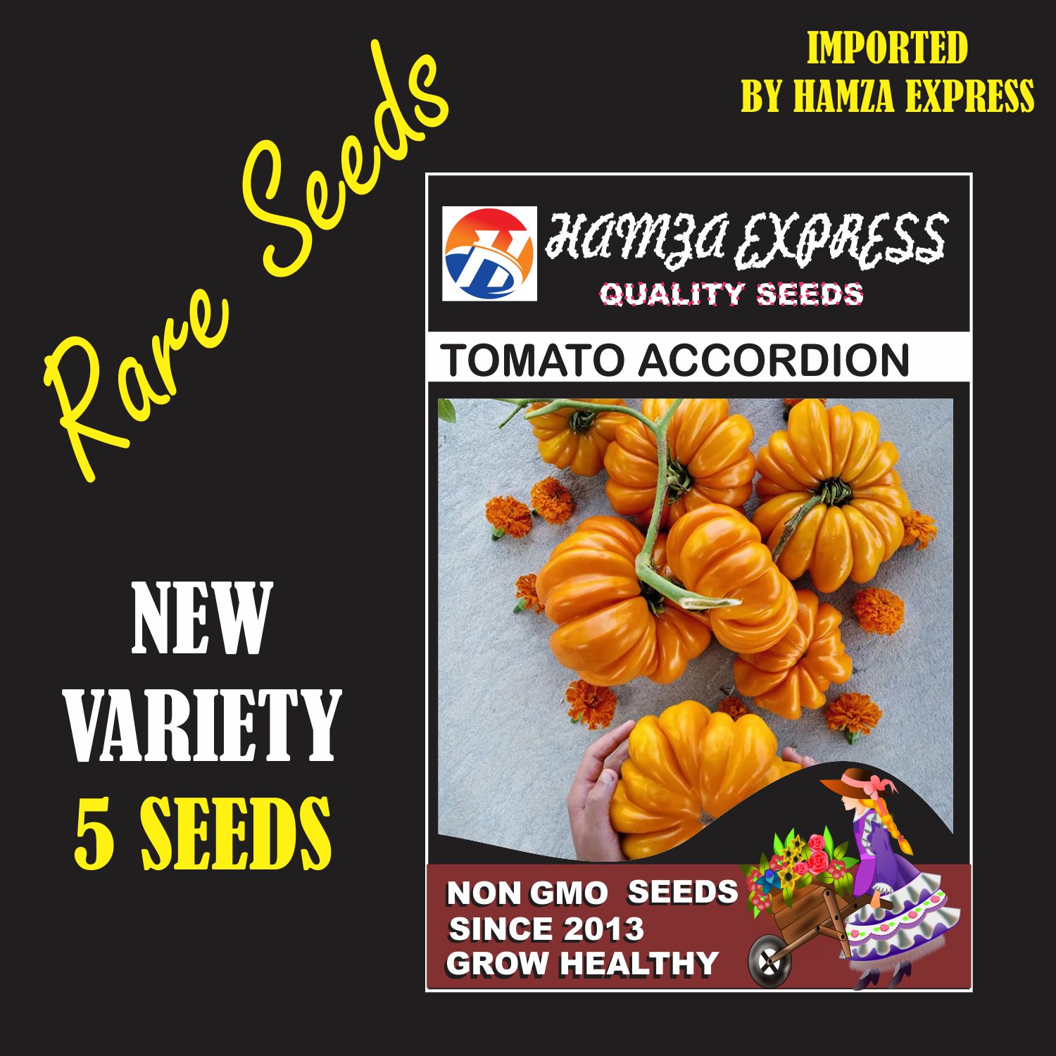 Tomato Orange Accordion Seeds Vegetable Seeds 5 Seeds Rare Variety BY ...