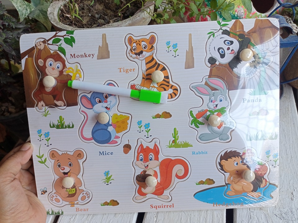 Double Sided 2in1 Wooden Peg Puzzles for Toddlers with Marker | Daraz.pk