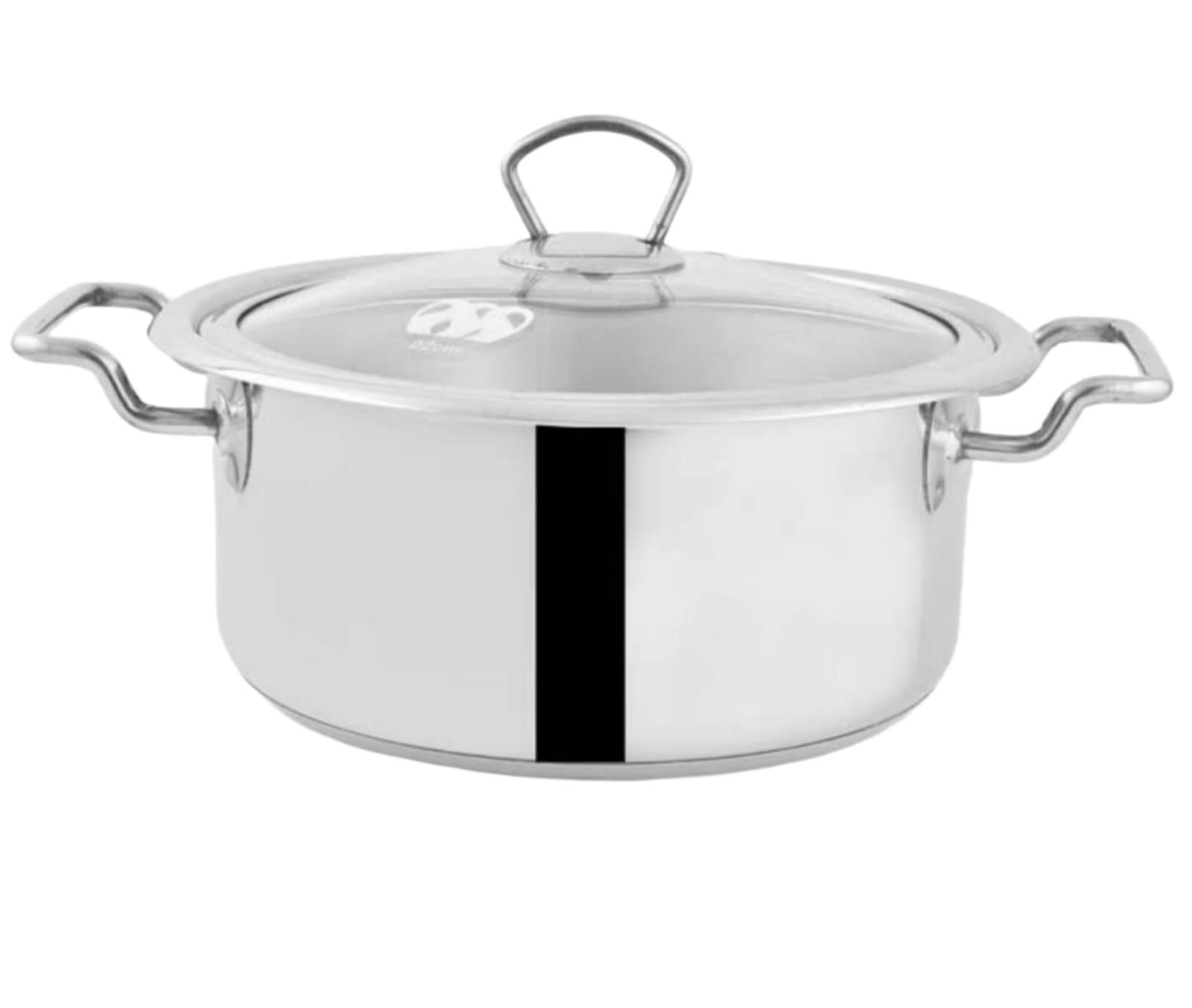 Alpha Stainless Steel Daikchi Casserole Handi Stainless Steel heavy ...