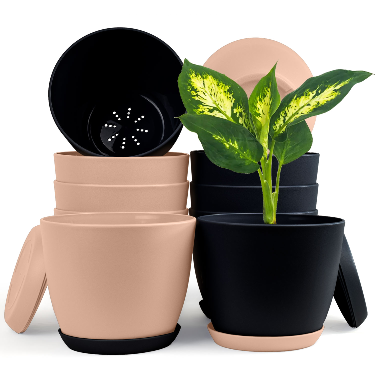 Fast Forward Extra Large Plant Pots with Drainage: Two Vibrant Colors ...