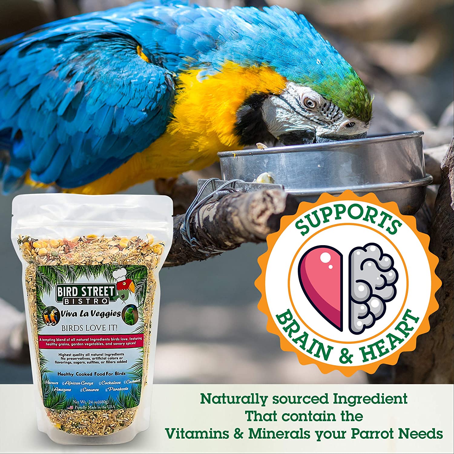 Birds feed / Birds food Seed Mix for cocktail cockatoo Alexandrine ...