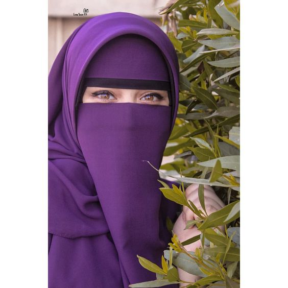 Naqab Pati Colours | Daraz.pk