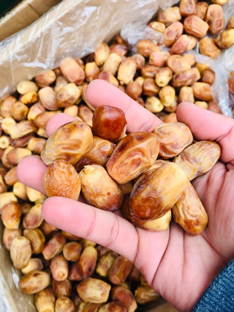 Irani zahedi dates 1 kg premium quality khajoor,khajour,Best quality ...