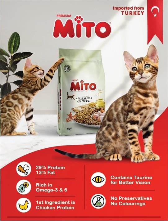 Mito Premium Adult Cat Food in Chicken, 1 KG IMPORTED FROM TURKEY ...