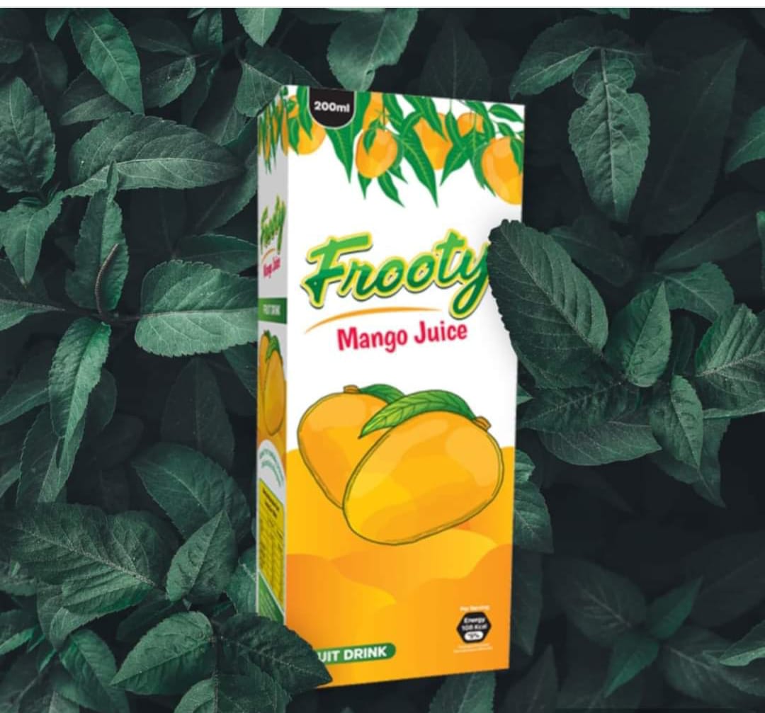 frooty mango juice 200ml pack of 24 pieces | Daraz.pk