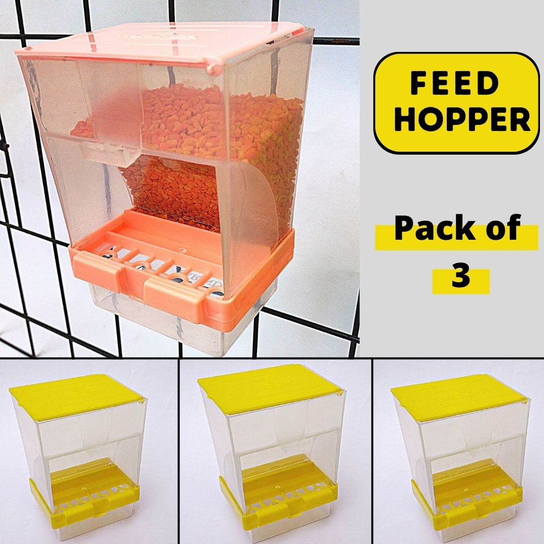 Feed hopper of Small birds | Love birds, Budges, Fiches, Pack of 3 ...