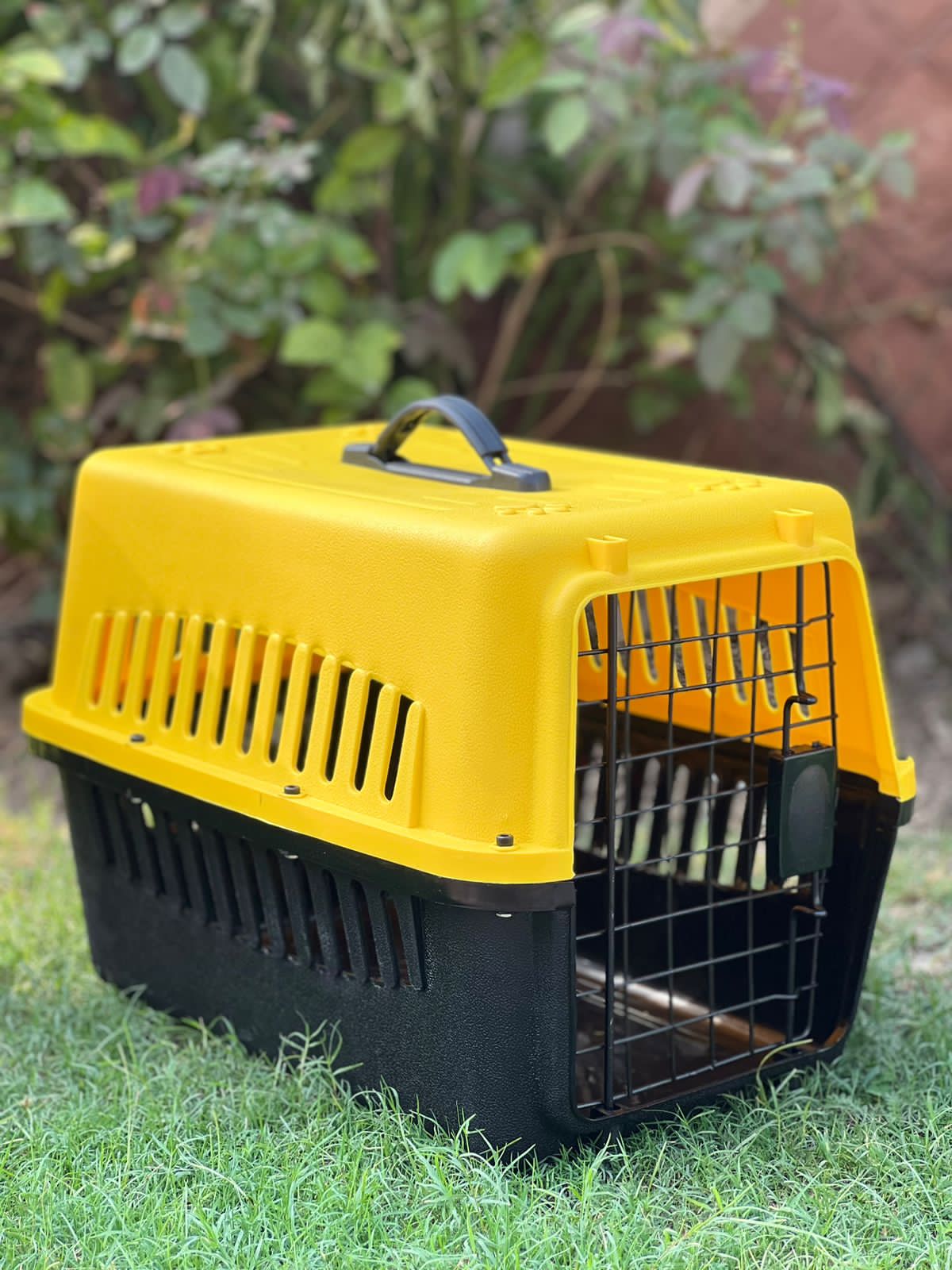 Jet Box / Traveling box for Cat & Puppy | Daraz.pk