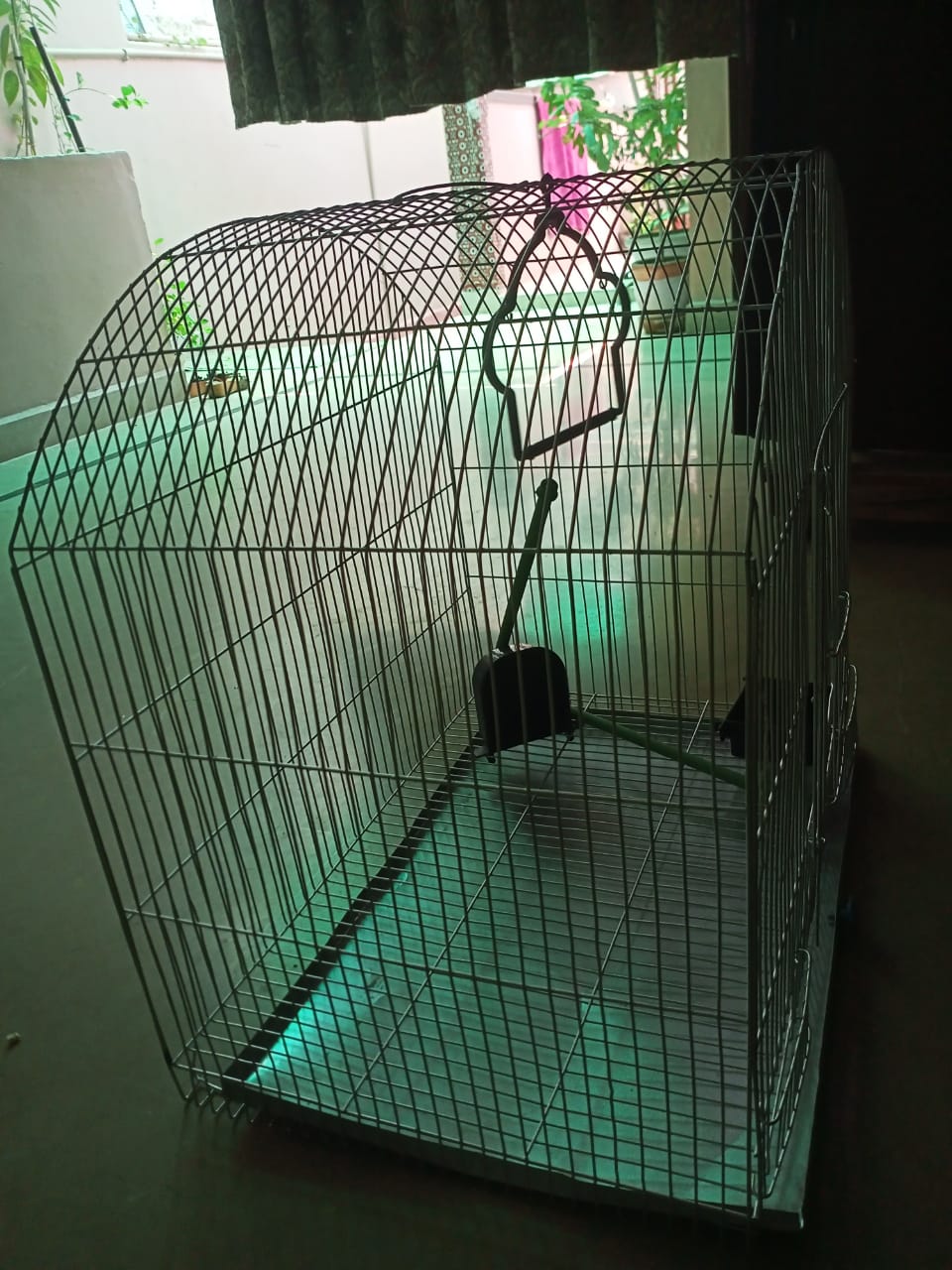 Cage for ringneck, austrailian parrots/bajri, | Daraz.pk