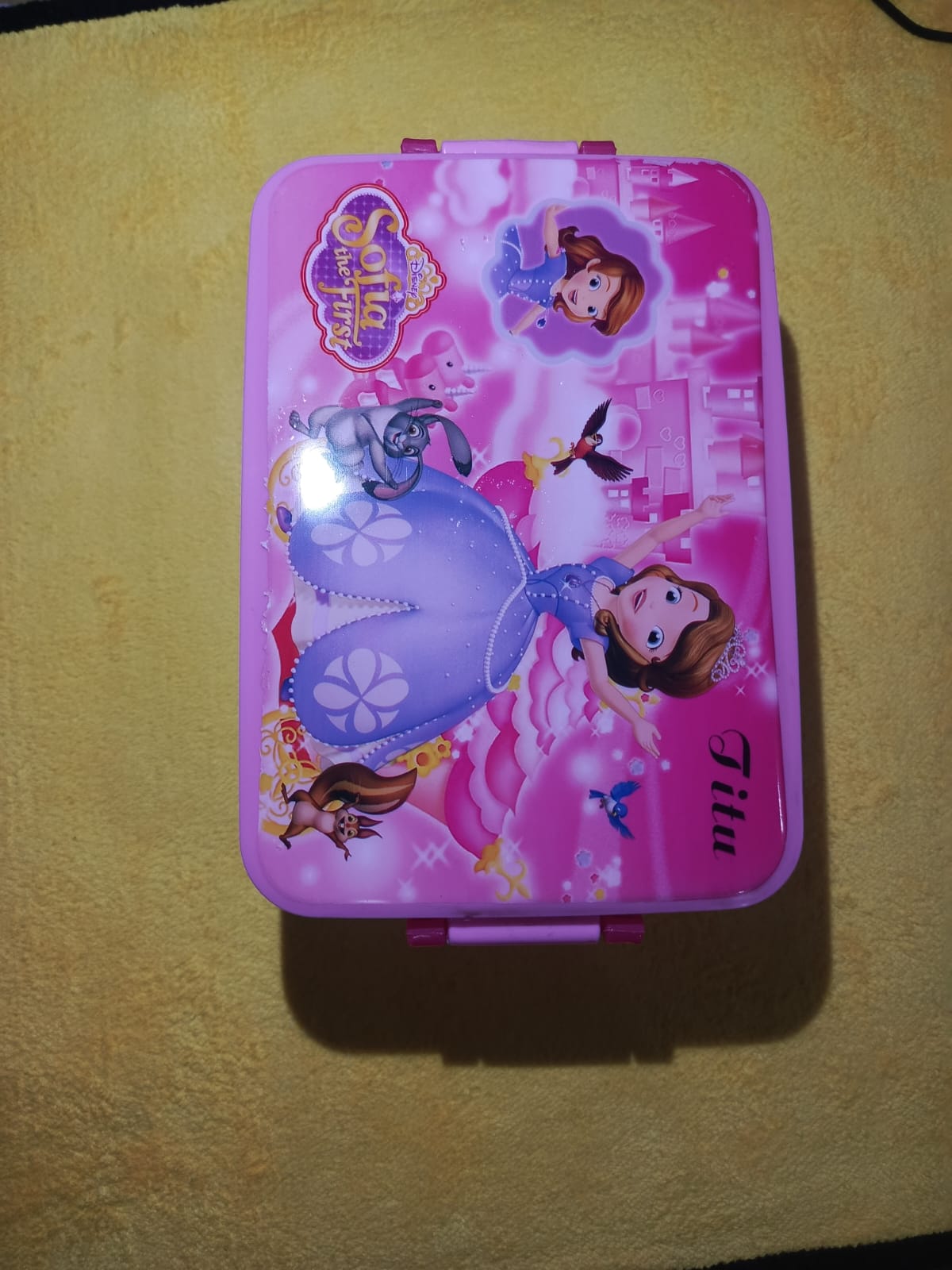 Lunch Box Unbreakable Plastic With Printed Characters Large Capacity ...