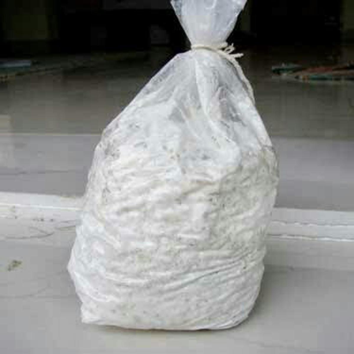 Enoki Mushroom Spawn 500 grams | Daraz.pk