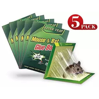 Rat Trap Book (Pack of 5 Pcs.) | Choha Pakarnay ki Kitab | Glue Book ...