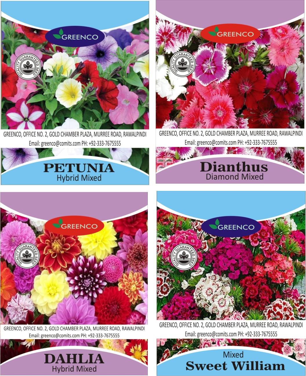 4 Packs Winter Flower Seeds Season | Daraz.pk