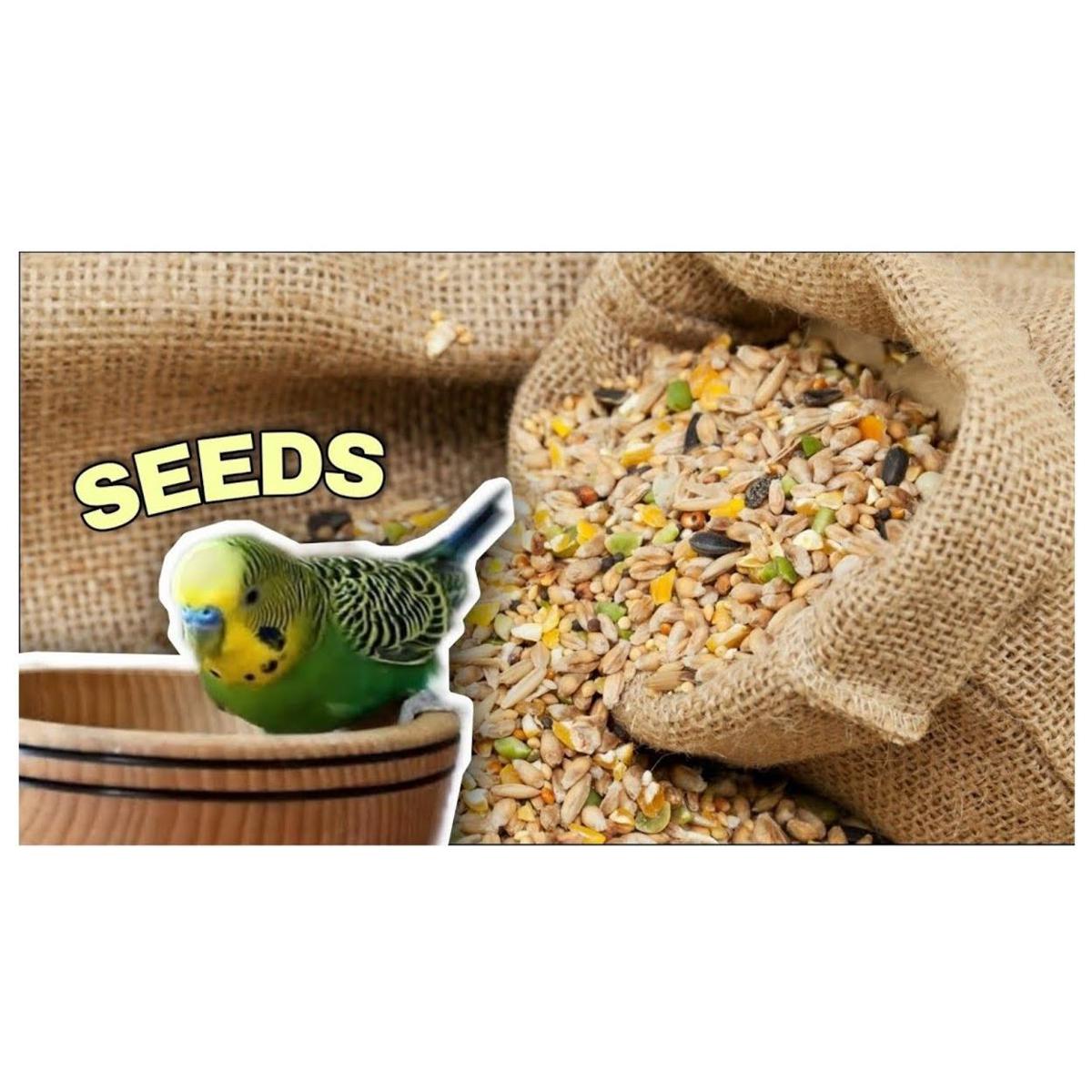 Mix Feed for Budgies & Small Birds - 1 KG Bag | Daraz.pk