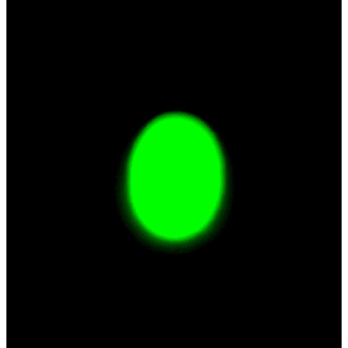 Night Glow Stone / Glow in Darkness Garden / Night Glowing Ring Stone 2 ...