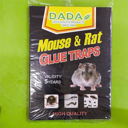 Pack of 2 Powerful Lizard Traps/ Mouse and Rat / Rodents Glue Trap ...
