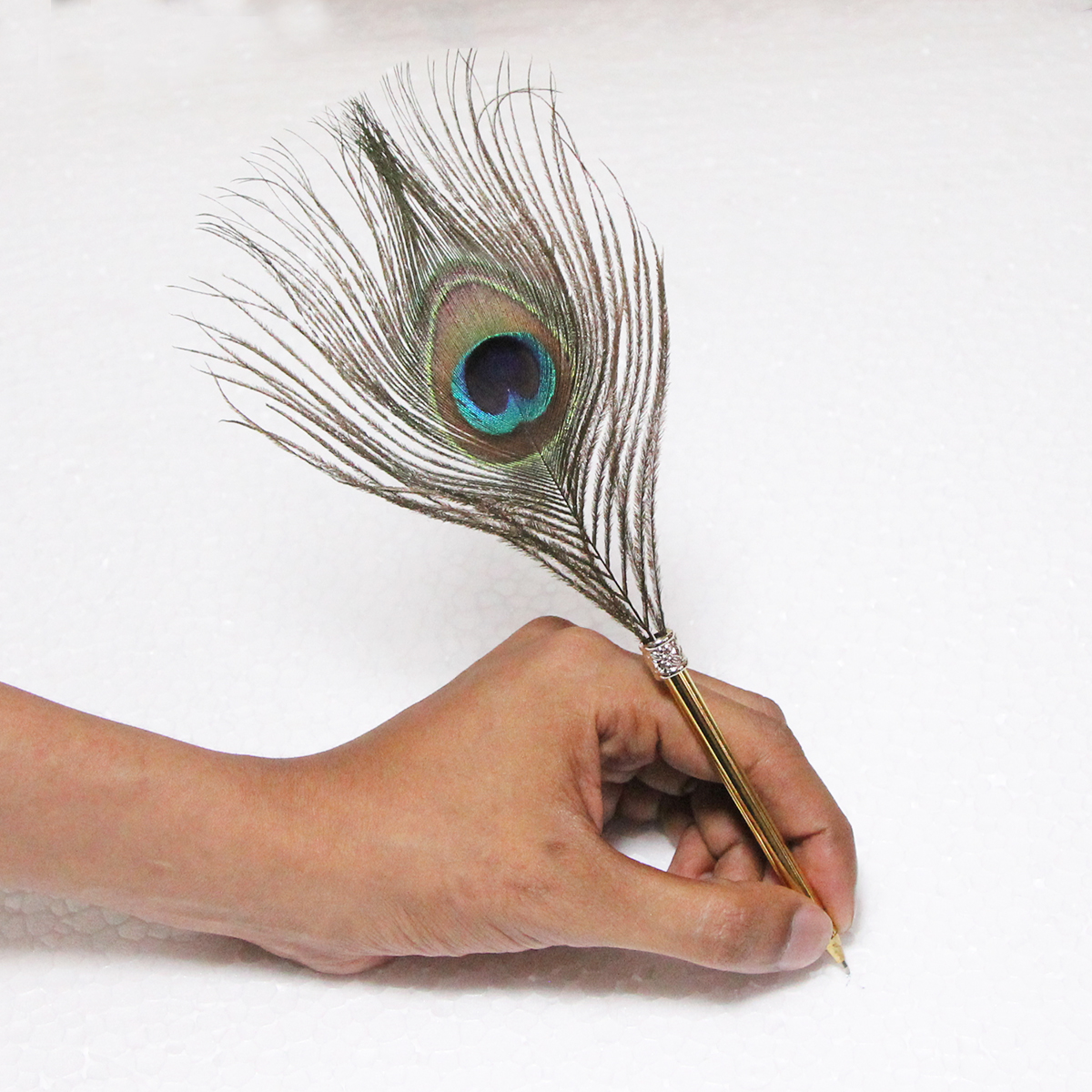 Peacock Feather Pen Png