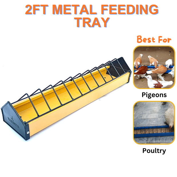 Bird Feeding Tray, Bird Feeder ,Metal Feeding Tray, Poultry, Hen ...