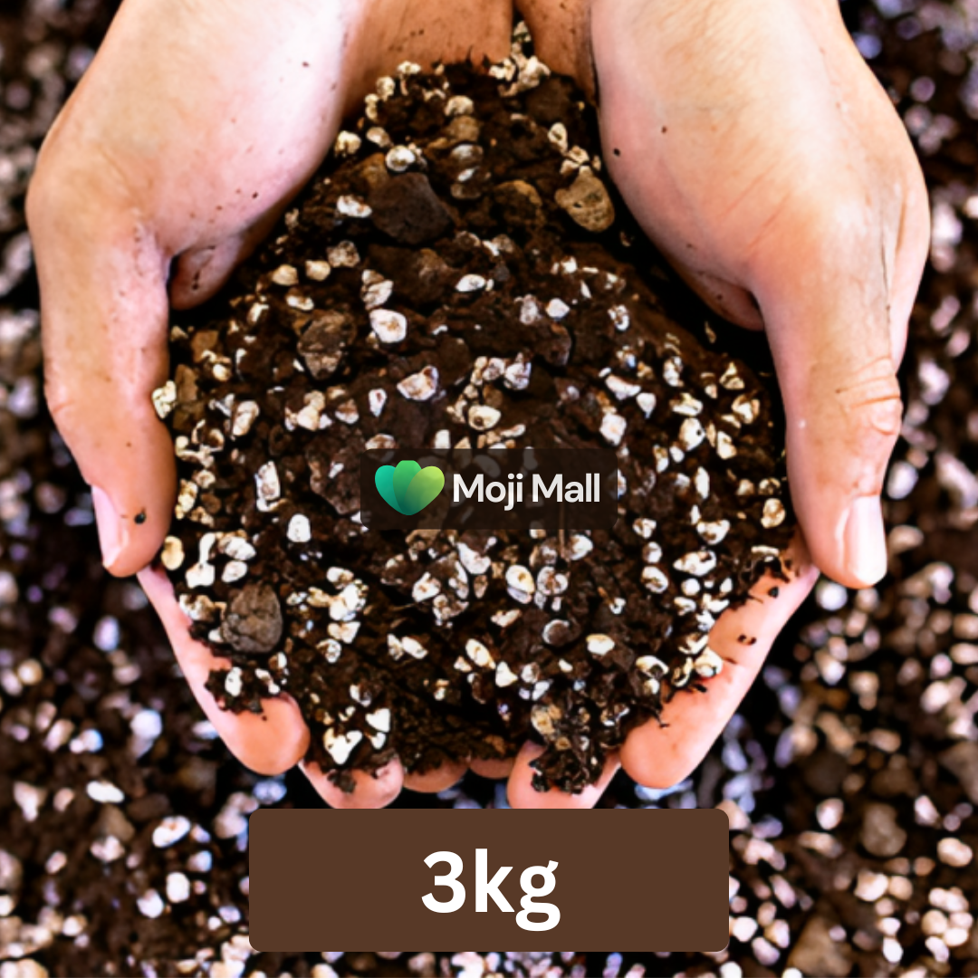 Soilless potting mix for seed starter - Coco Peat - Vermicompost ...