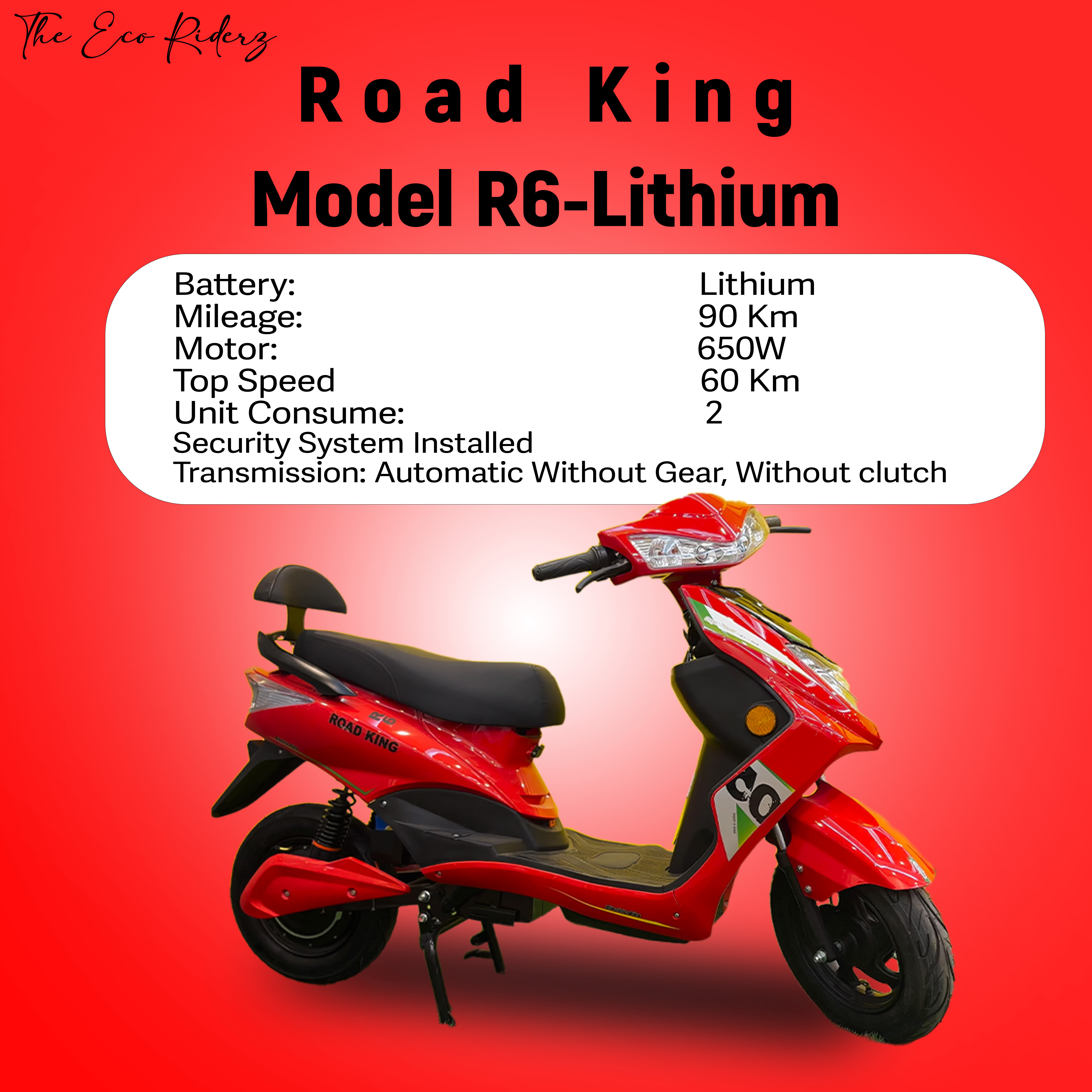 Road King R6 Electric Scooter with Lithium Battery - Powerful 650W ...