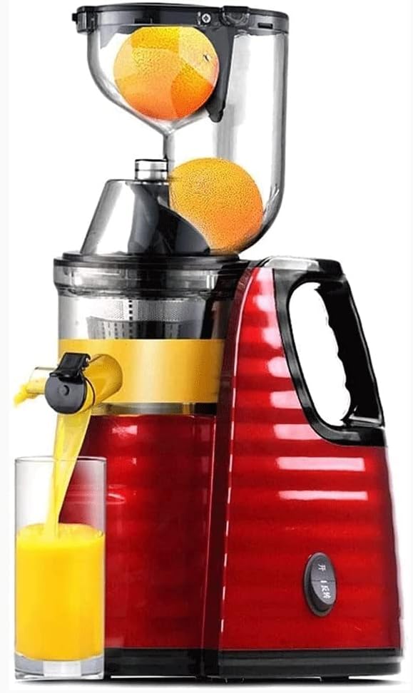 Raf Electric Slow Juicer Grinding Juicer Extractor Bpa Free Smoothie ...