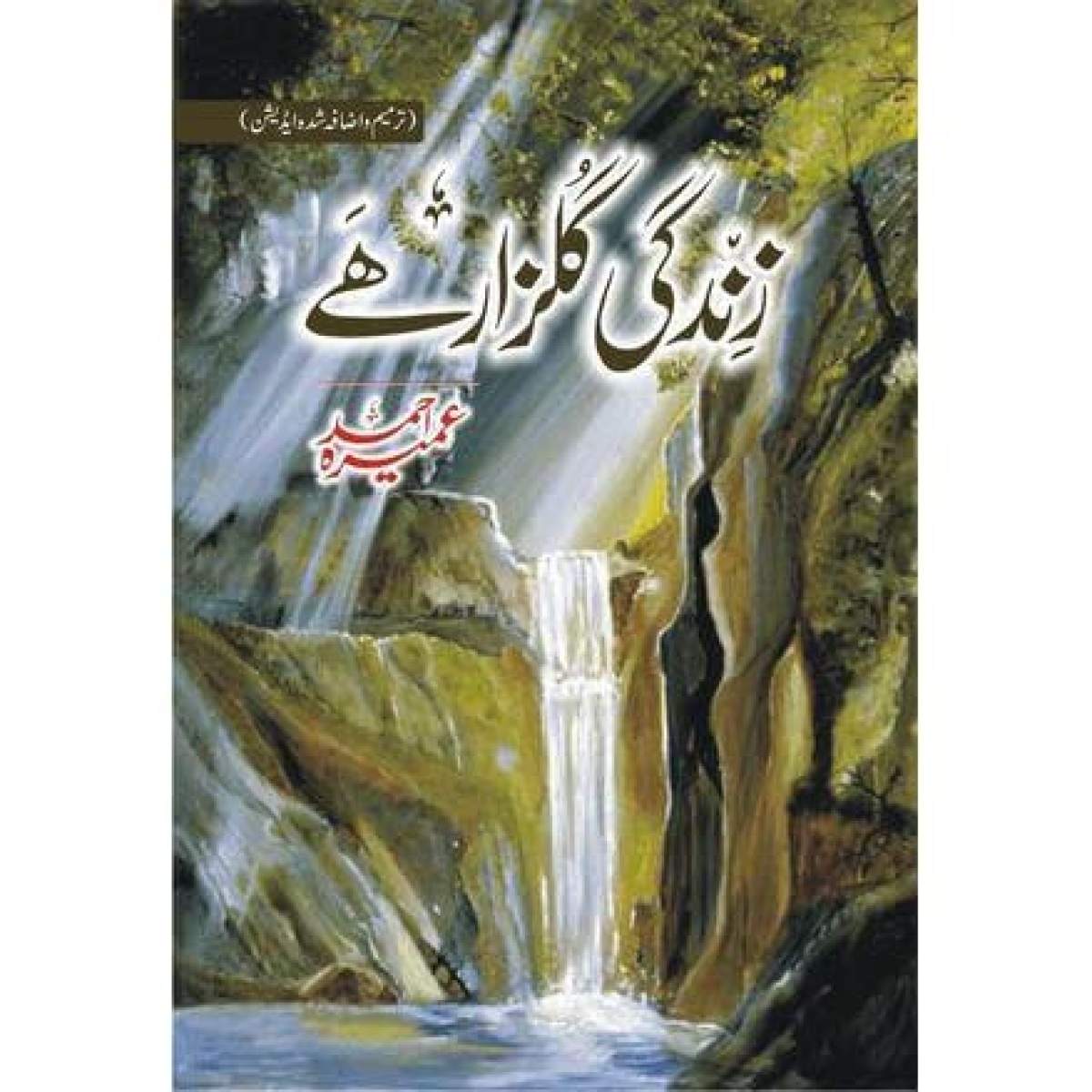 Zindagi Gulzar Hai Novel