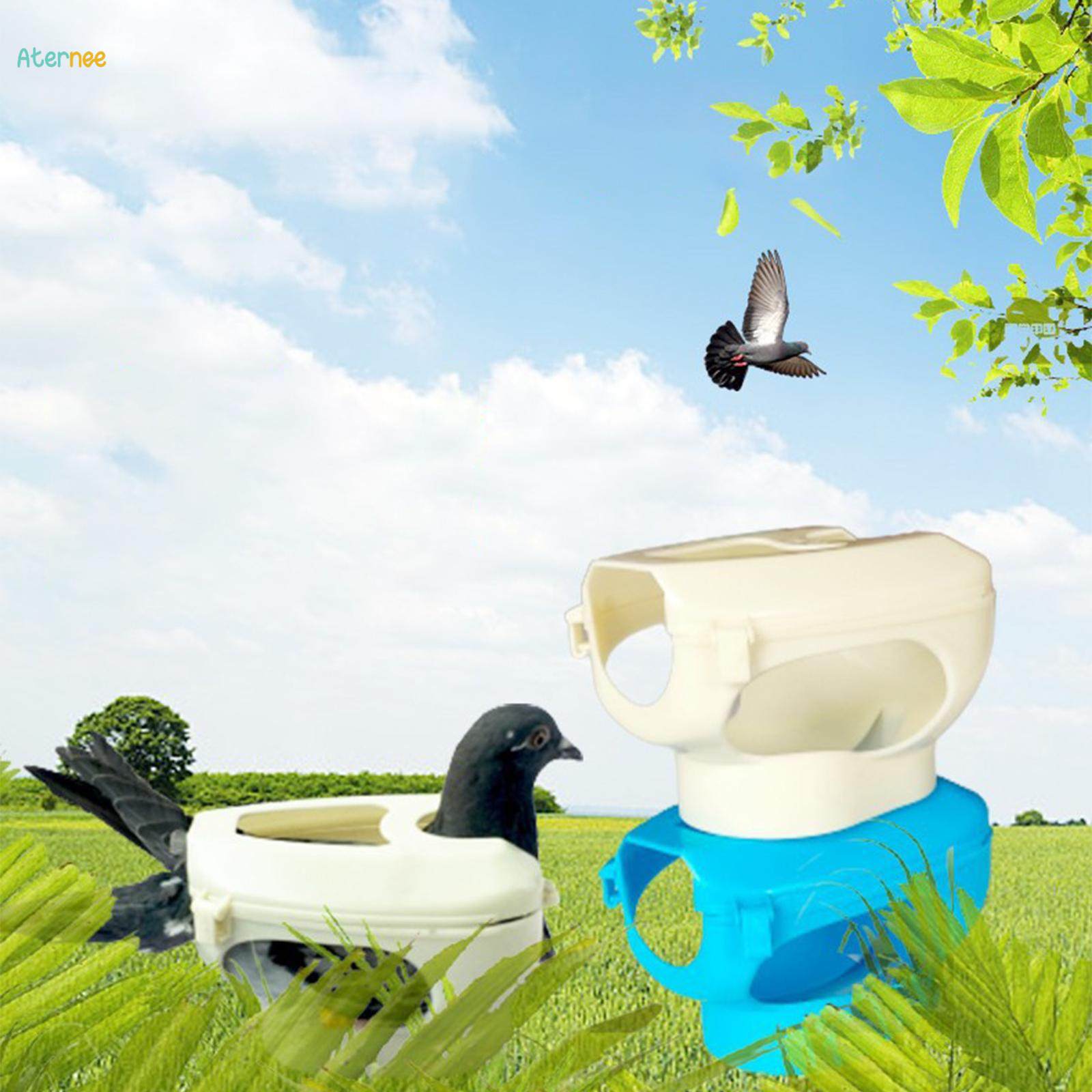 Pigeon Holder Mounting Bracket Foot Fixed Mount Rack Feeding Holder for ...