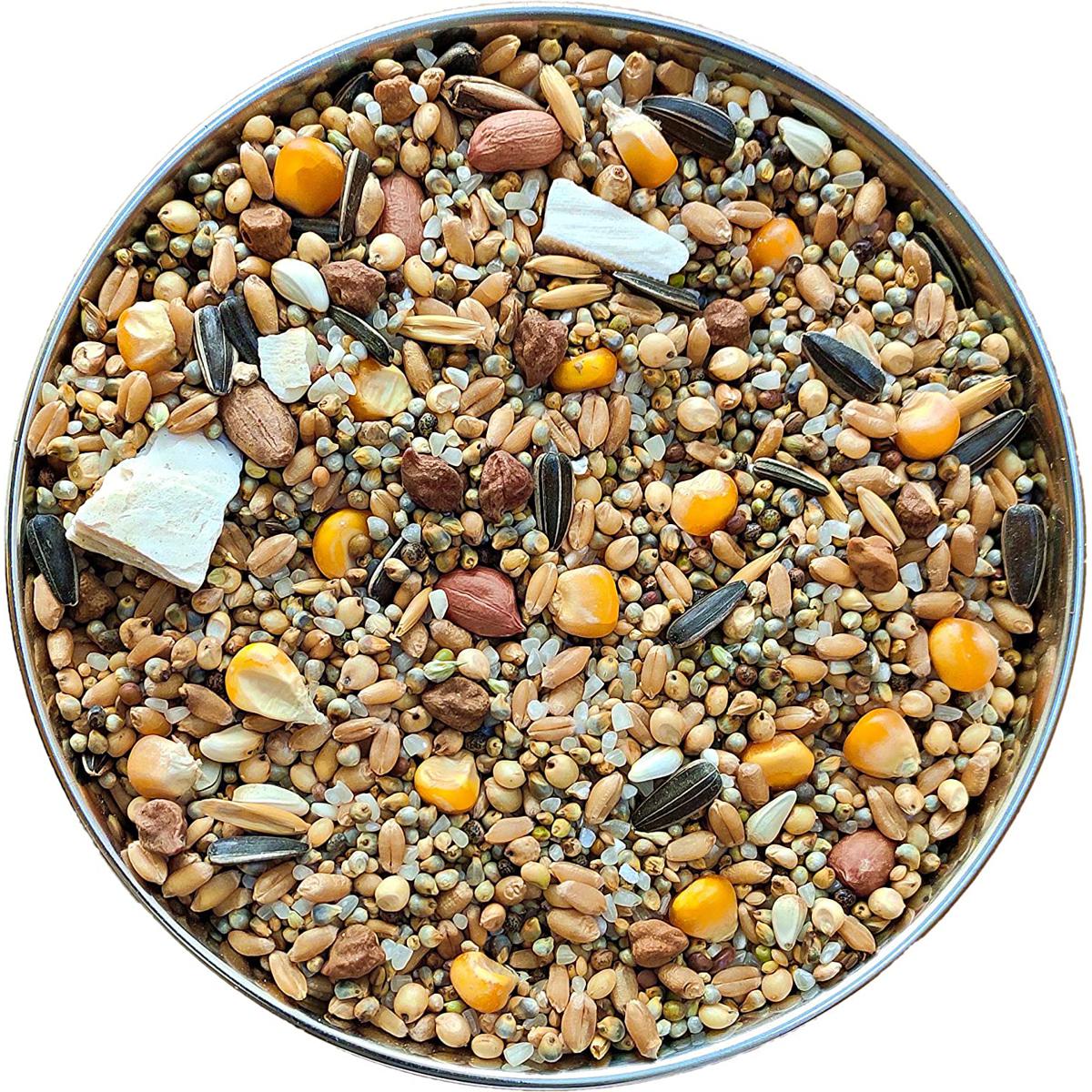 The Birds Company Premium Seed Blend of 9 Grains & Nuts with Spirulina ...