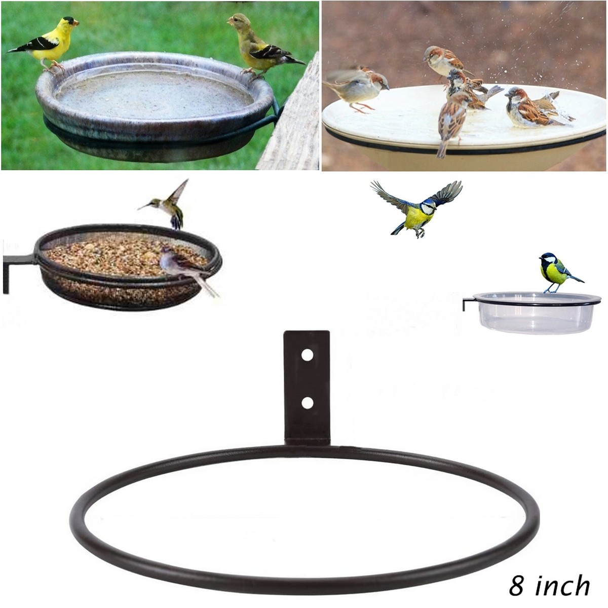 8 Inch Heavy Duty Wall Mount Bird Sparrow Pigeons Parrots Water Food ...