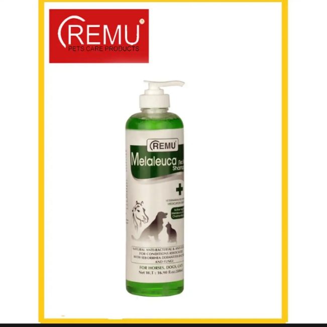 Remu - Melaleuca (Tea Tree) Medicated Shampoo - 400 Ml | Daraz.pk