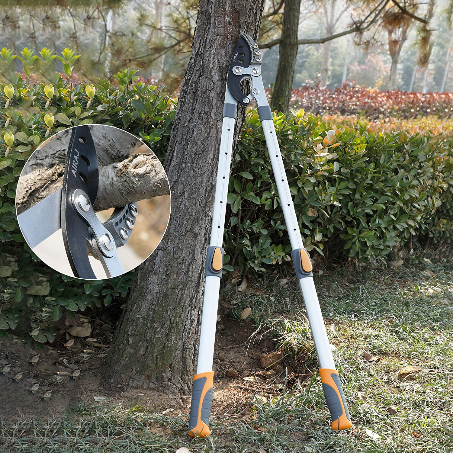 Extendable Anvil Loppers Tree Trimmer with Compound Action,Chops Thick ...