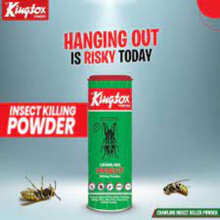 Kingtox Powder 125gm Kills Cockroaches and other Crawling Insects ...