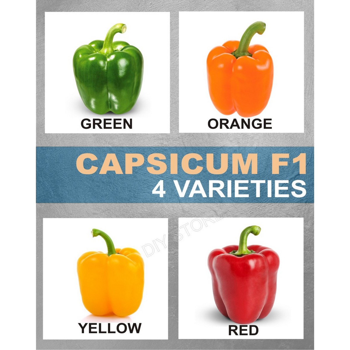 4 Different Packets Capsicum Varieties Bell Pepper Hybrid F1 Seeds ...