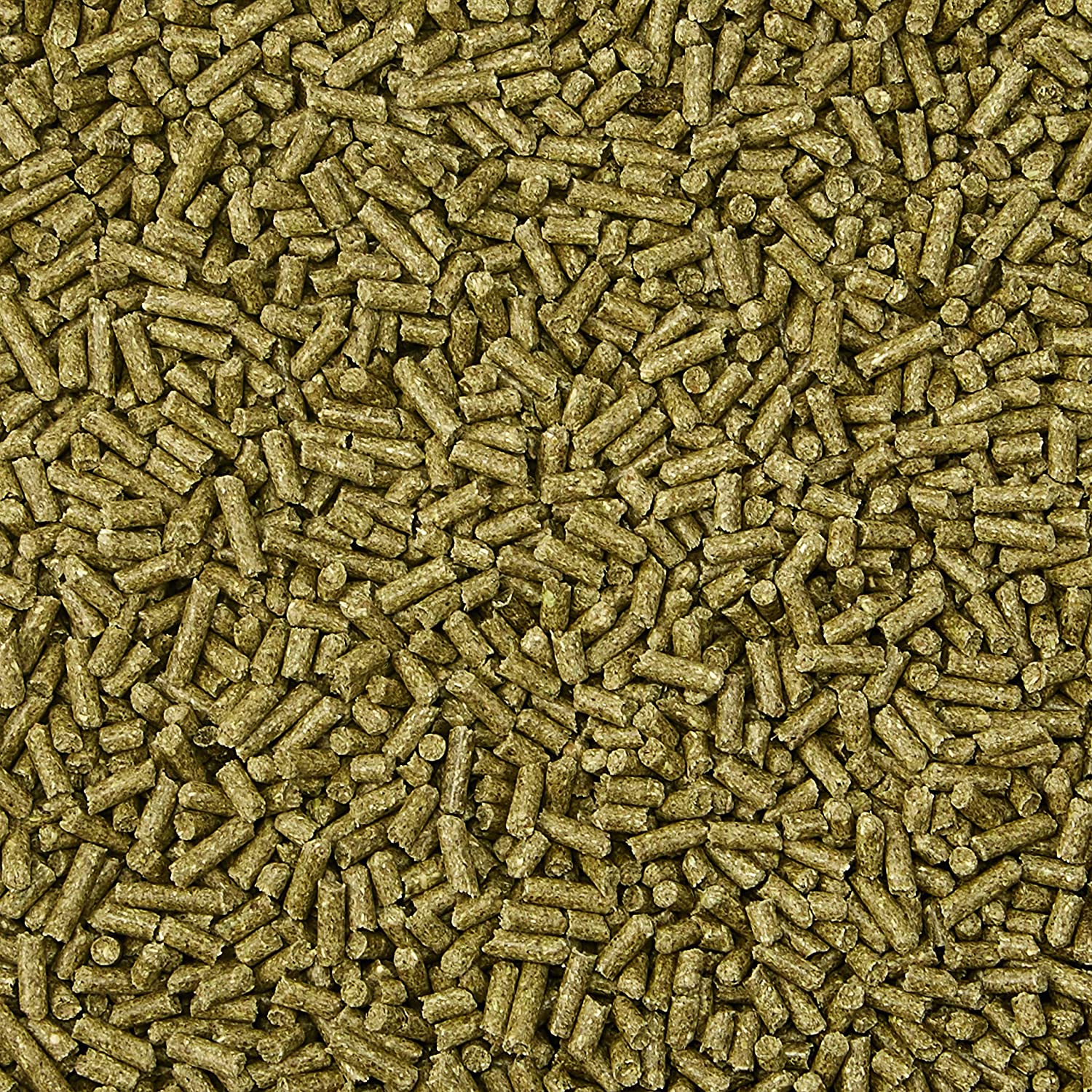 Kaytee Timothy Complete Pet Rabbit Food 500 grams | Daraz.pk