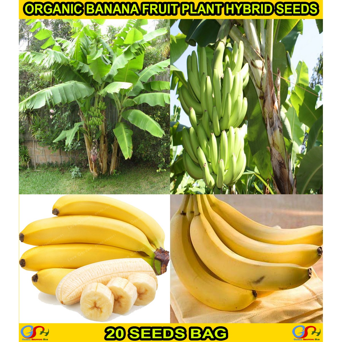 Global Shopping Hub: Seeds