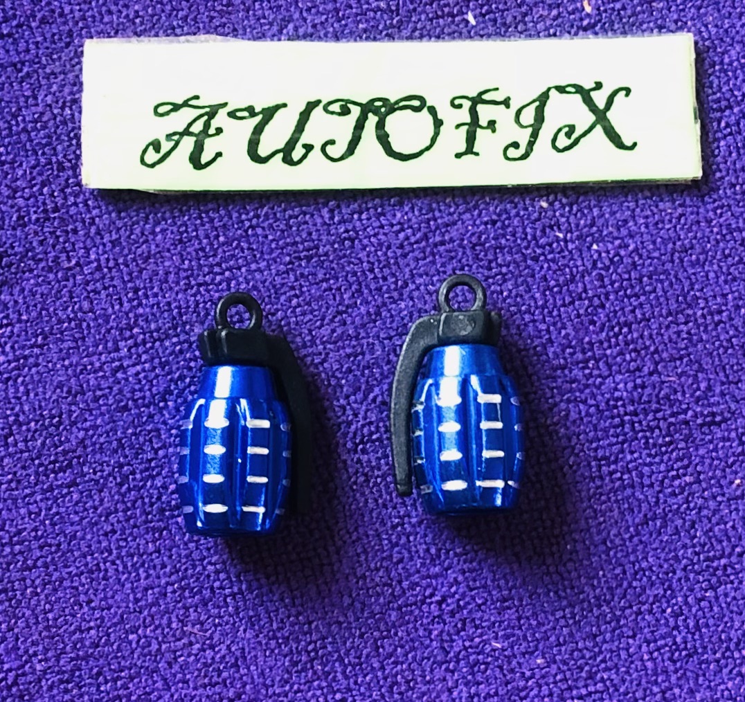 Tyre valve alloy fancy caps blue color for bikes 02 pcs | Daraz.pk
