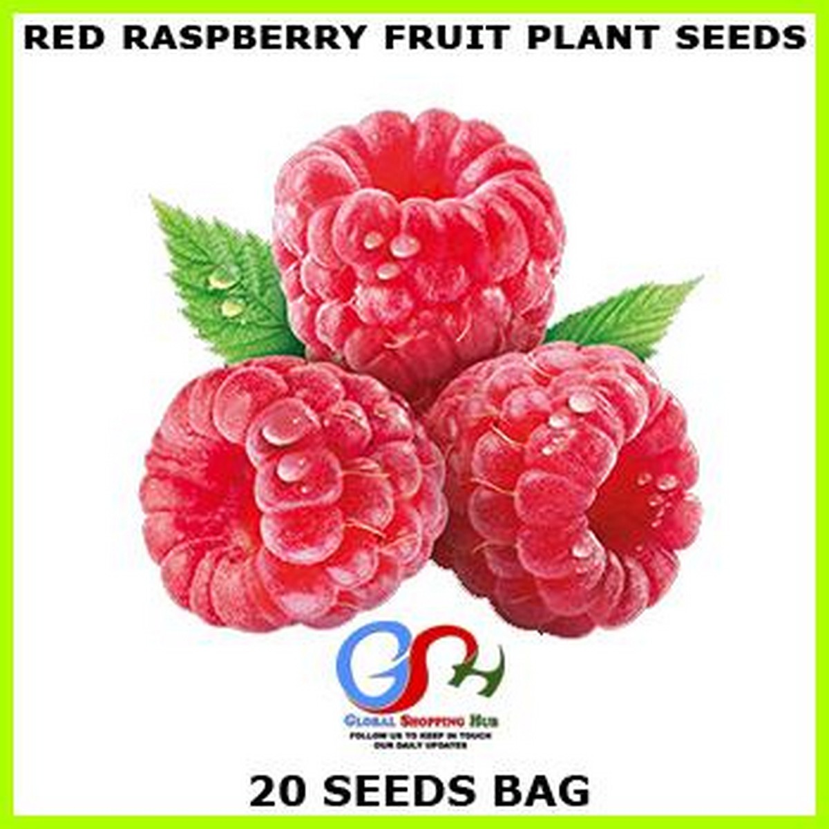 Global Shopping Hub: Seeds