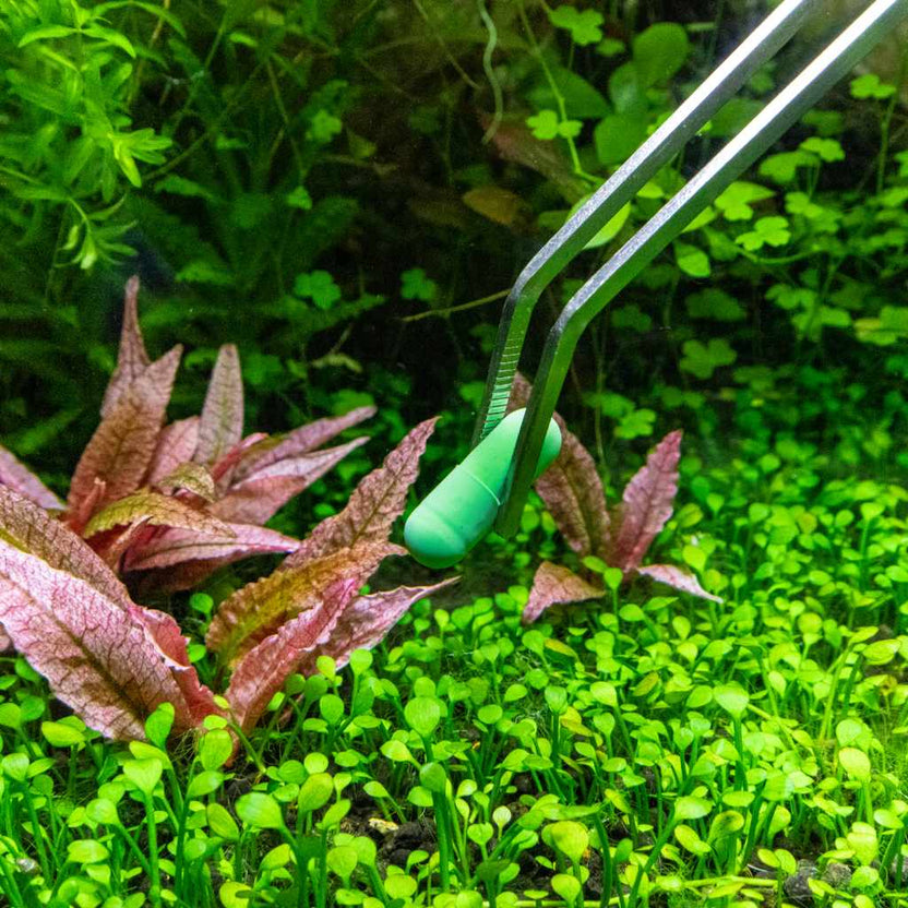 AQUARIUM ROOT TABS/MULTINUTRIENTS TABS FOR AQUARIUM PLANTS | Daraz.pk