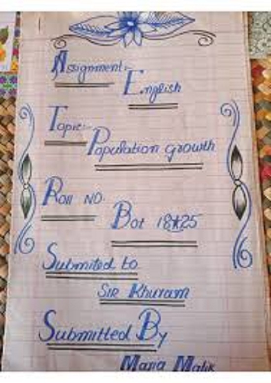 Content writing work Handwritten assigsments 5 A4 pages | Daraz.pk