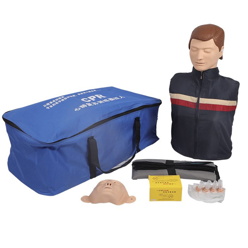 Human Half Body CPR Training Manikin | Teaching CPR Mankin | Daraz.pk