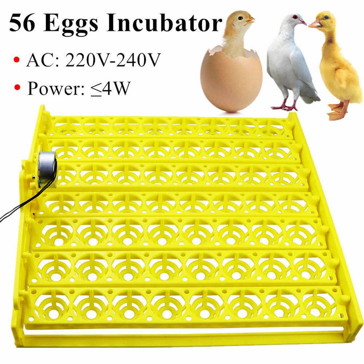 56 Eggs Mini Incubator Hatcher Automatic Egg Turning Tray Tool with ...