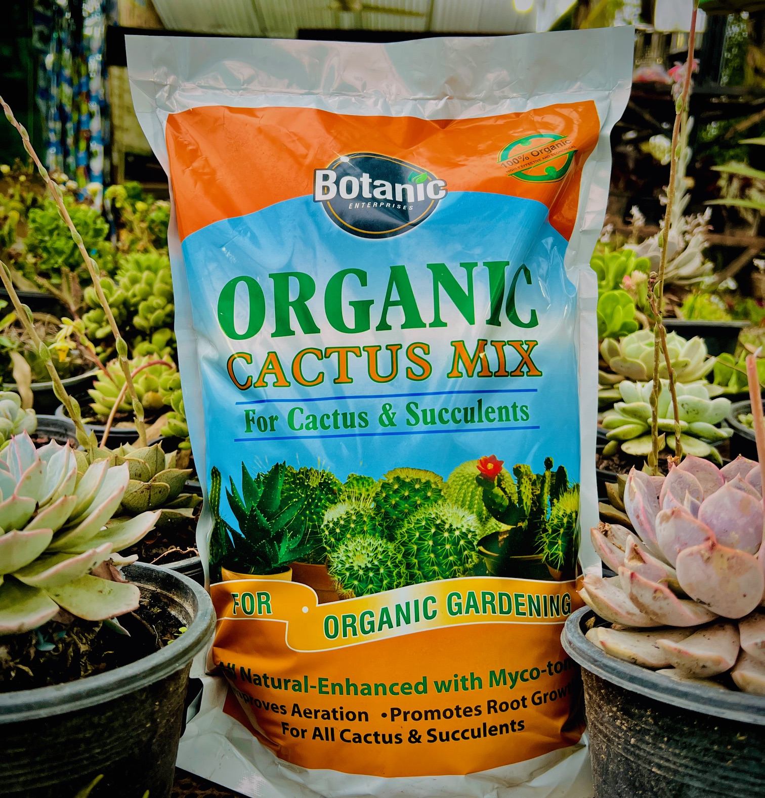 CACTUS SOIL, ORAGANIC CACTUS AND SUCCULENT MIX, PACK OF 3KG CACTUS SOIL ...