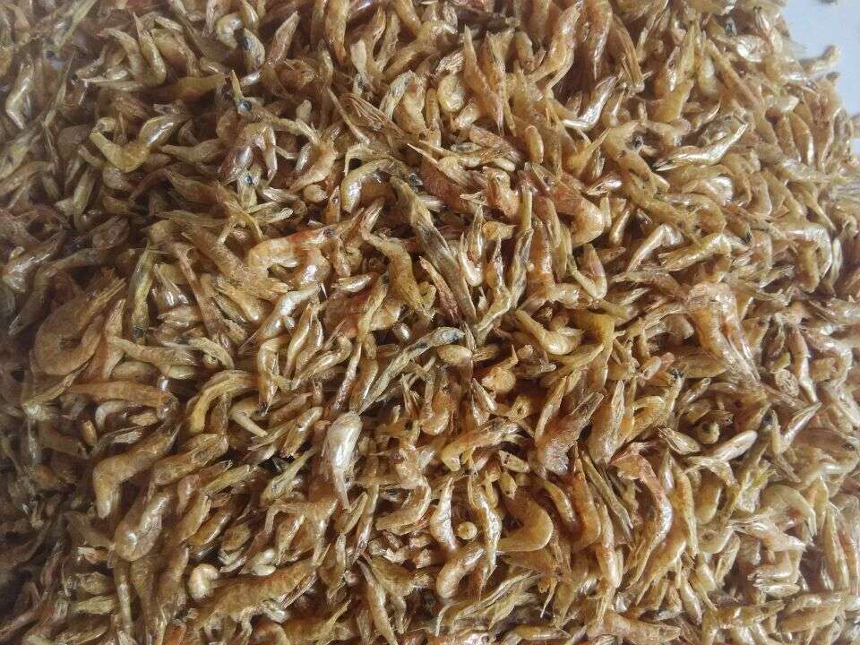 DRY PRAWNS SUKHA JHINGA BEST FOR BIRDS GOOD SOURCE OF PROTEIN BUDGIES ...