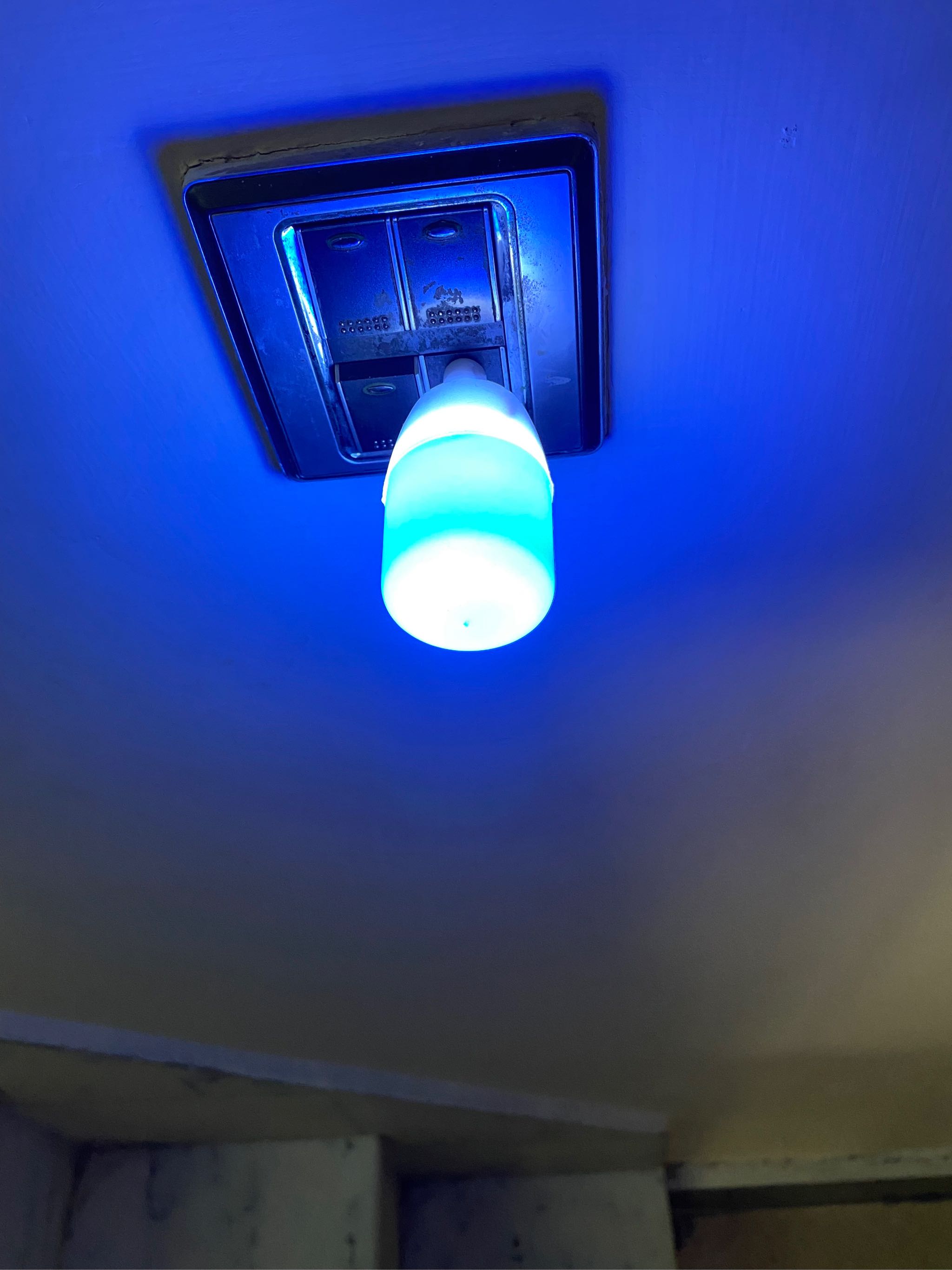 Zero Watt Night Bulb | atelier-yuwa.ciao.jp